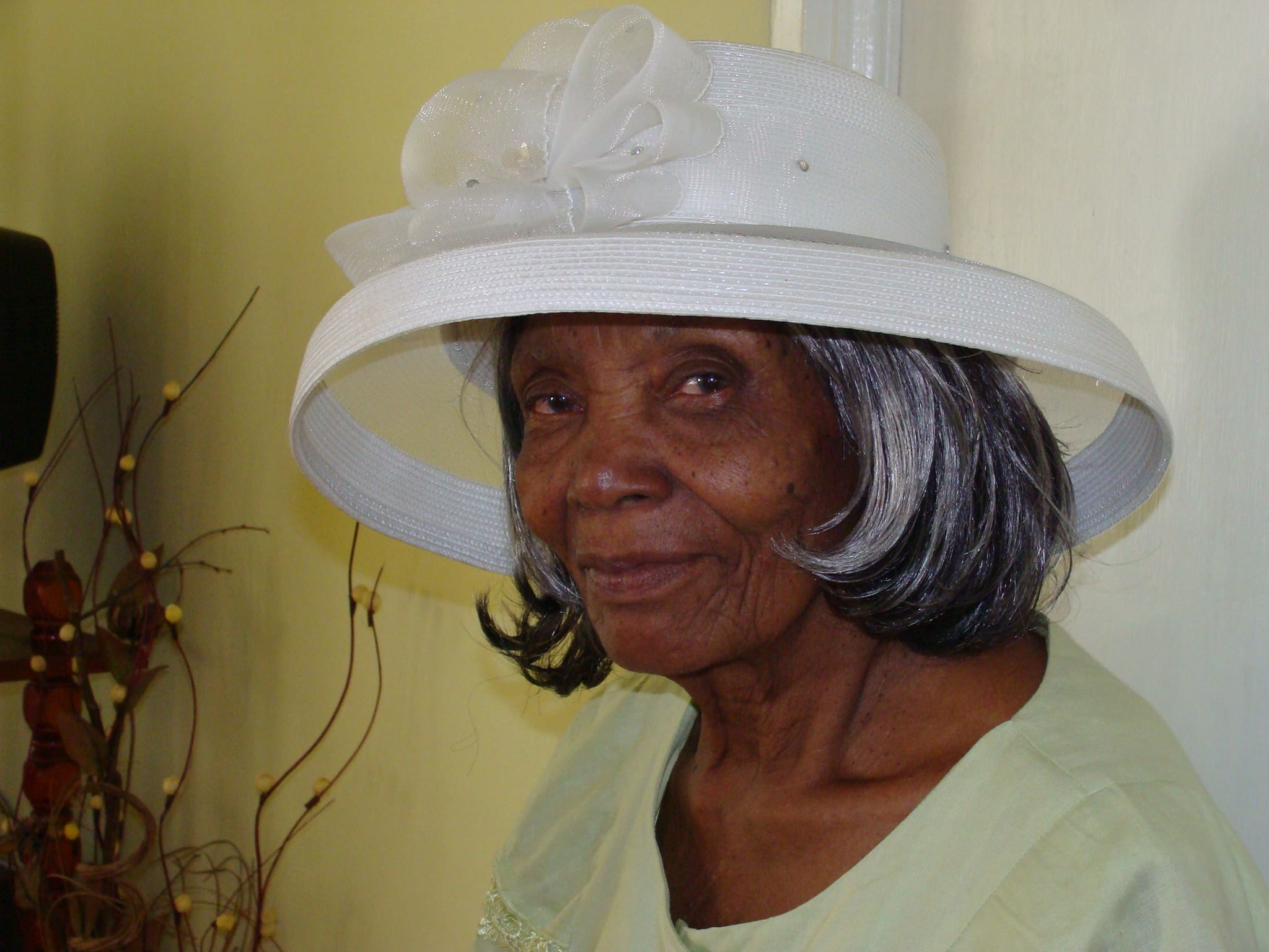 Eloise Idora Johnson - Centenarians Of Barbados